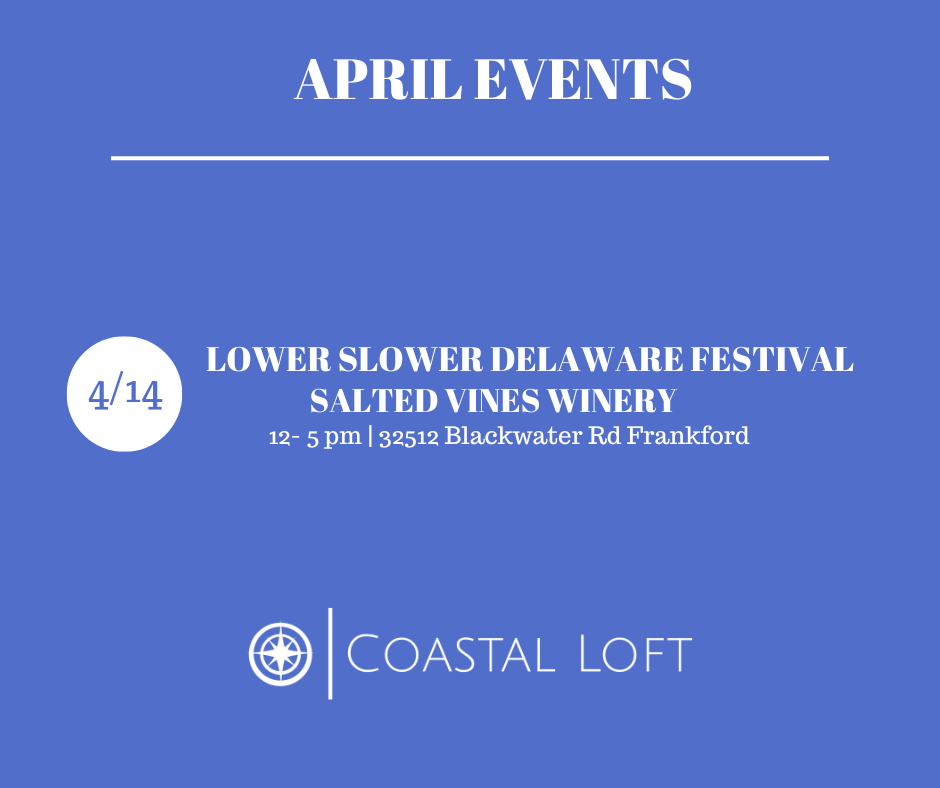 Coastal Loft Boutique | casual style | womens fashion